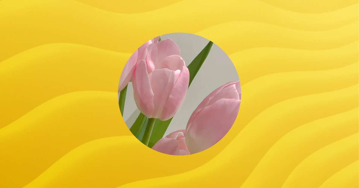 Pinkypinkpinky17's applications - Guilded