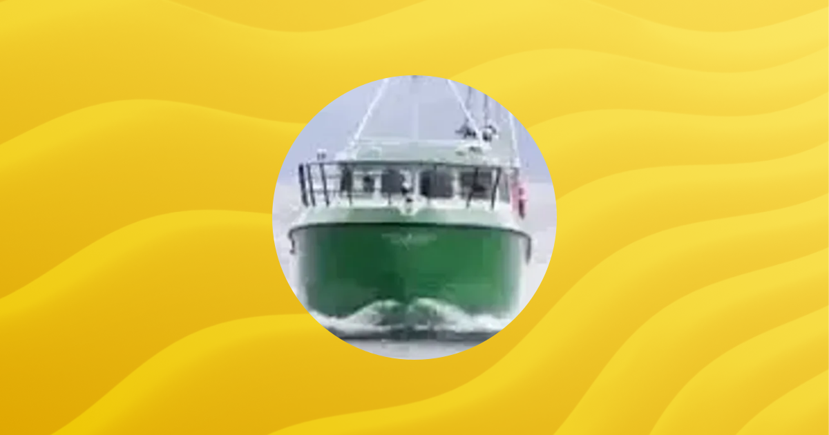 Emerald Tide's profile - Guilded