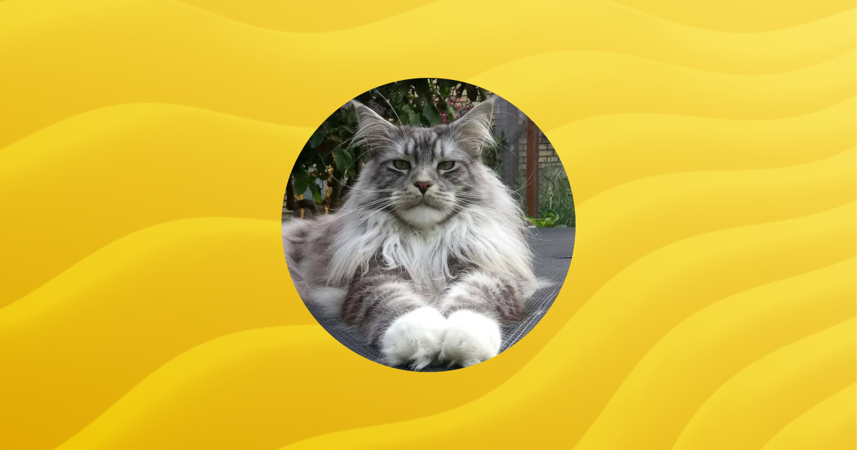 IDK BRO FR's profile - Guilded