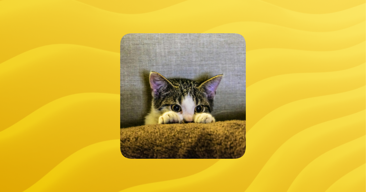 Overview - cats - Guilded