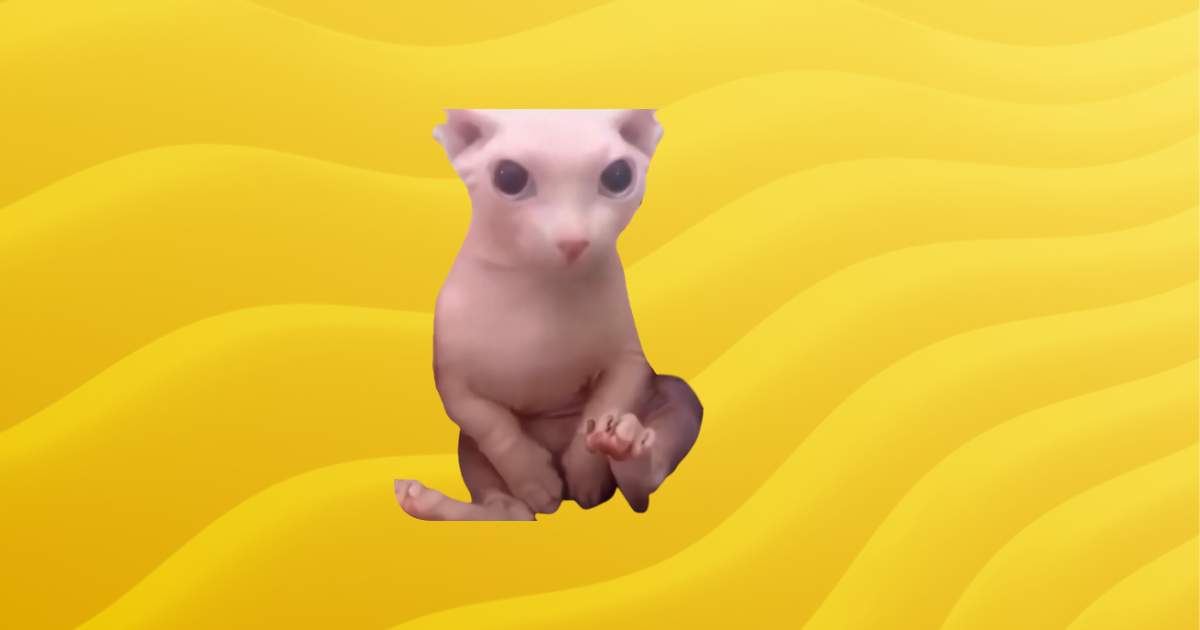 Overview - Backrooms Hub - Guilded