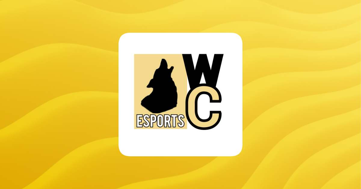 Overview - WC eSports - Guilded