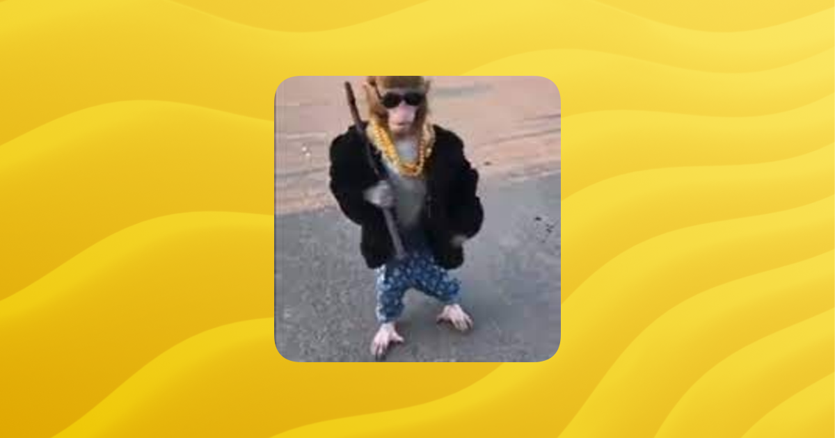 monkeys gang - Guilded