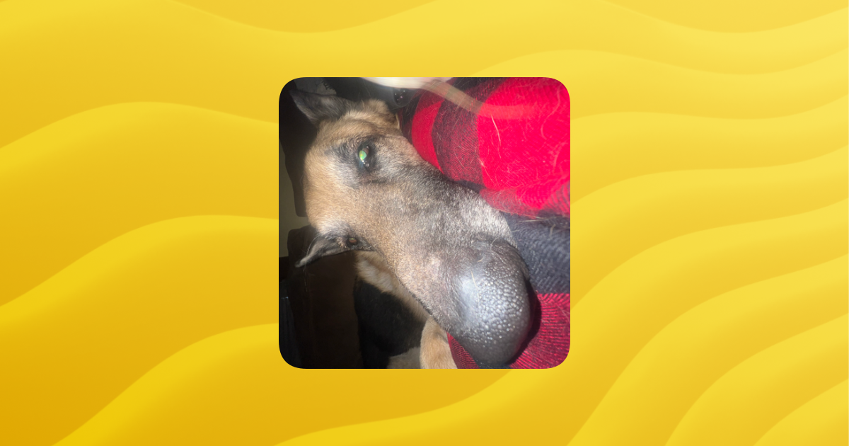 Overview - brawl - Guilded