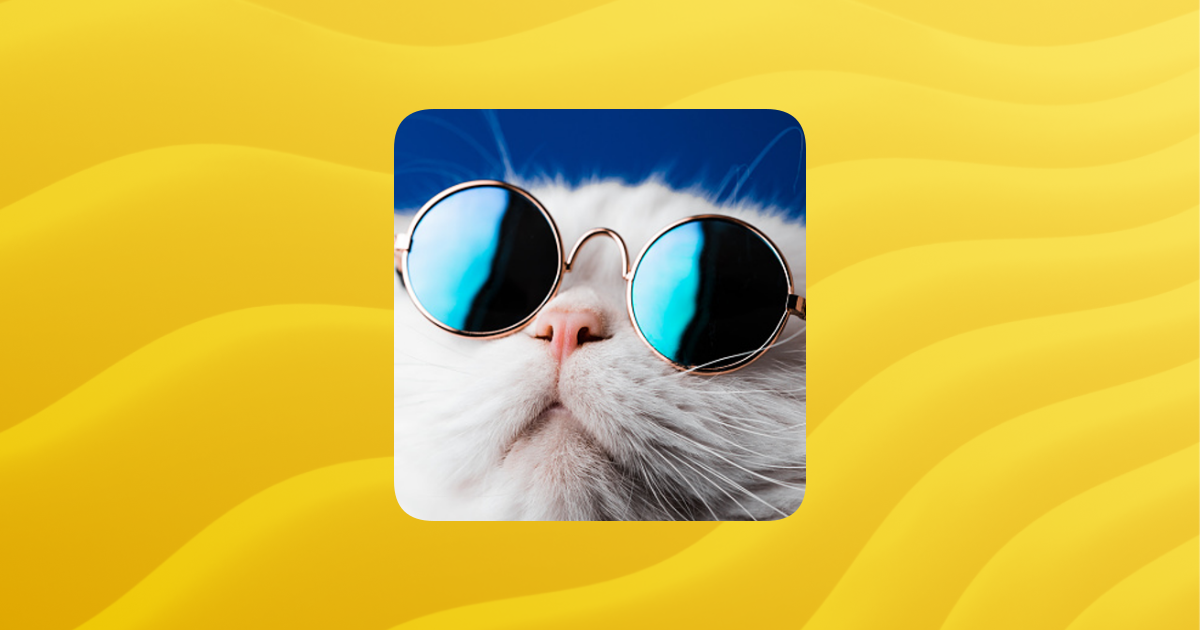 rockii's Wildcats - Members - Guilded