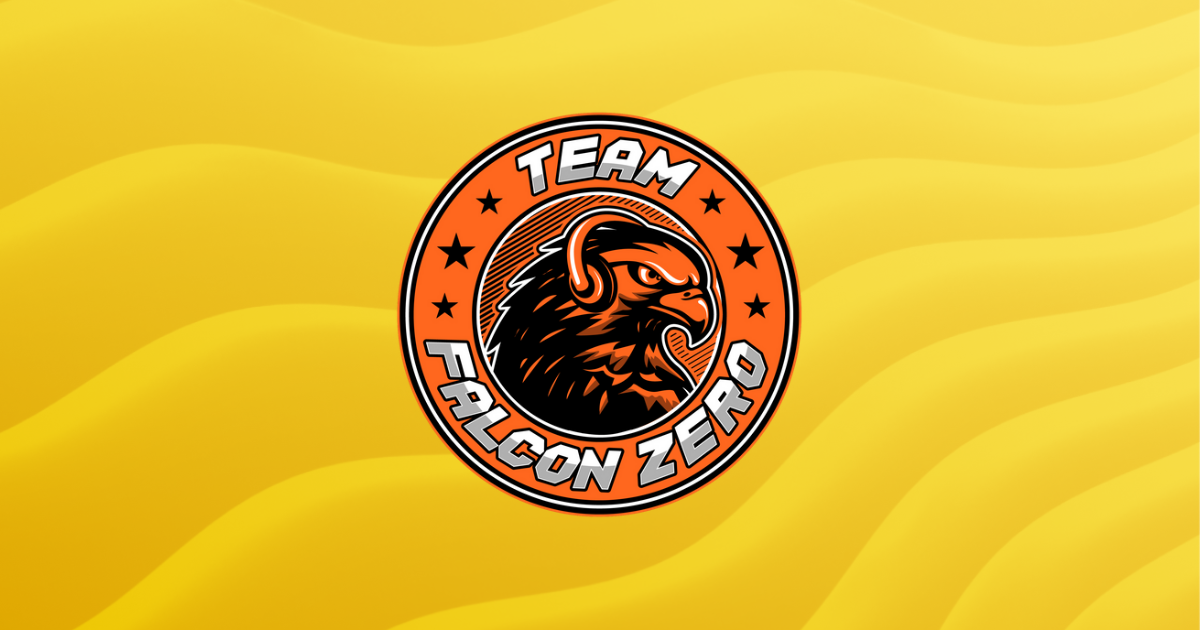 Overview - Team Falcon Zero - Guilded