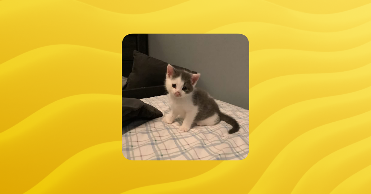 Transfer Server - Guilded