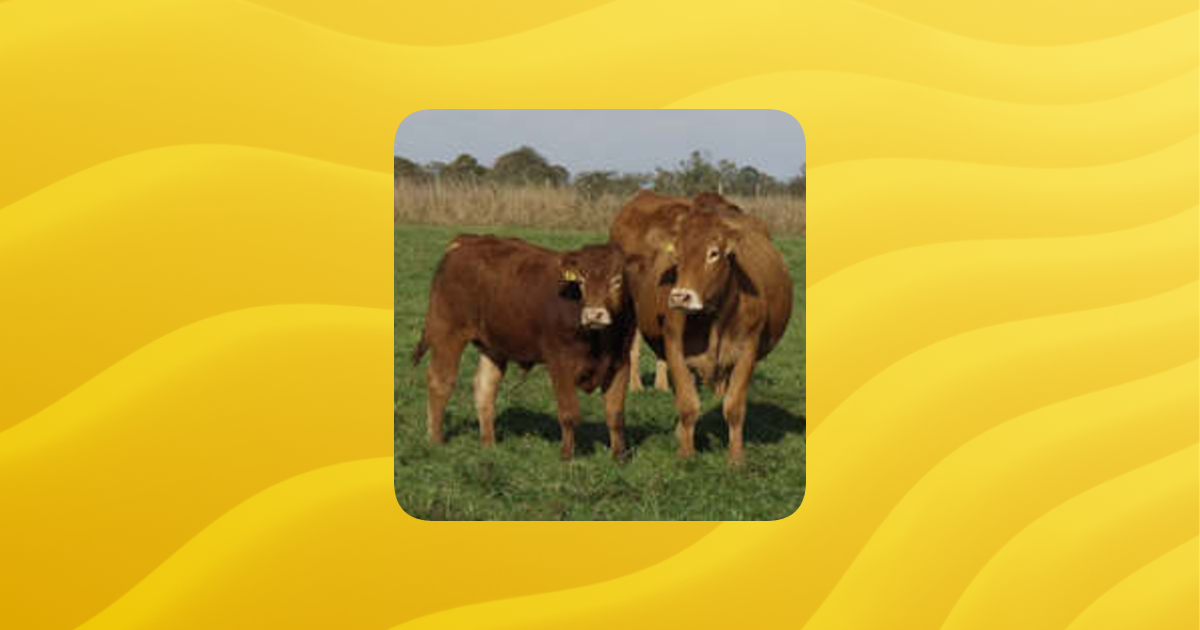 Overview - Fun/Boredom - Guilded