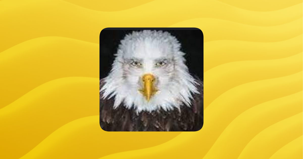 REDACTED AGENT_13's Aces - Guilded