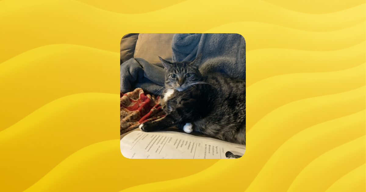 Overview - Meow Games - Guilded