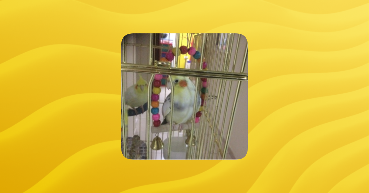 Overview - Good group - Guilded