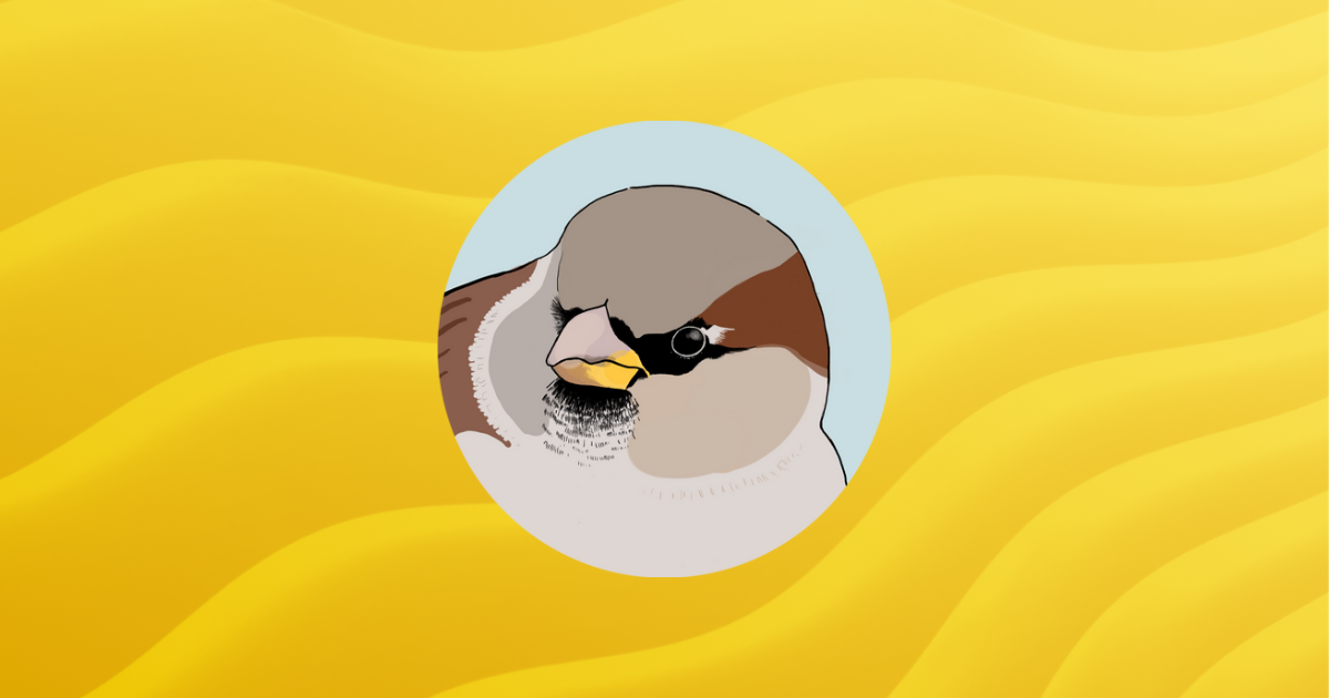 Overview - Team Bird - Guilded