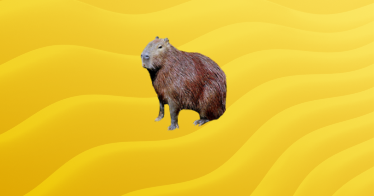 Capybara Club. - Guilded