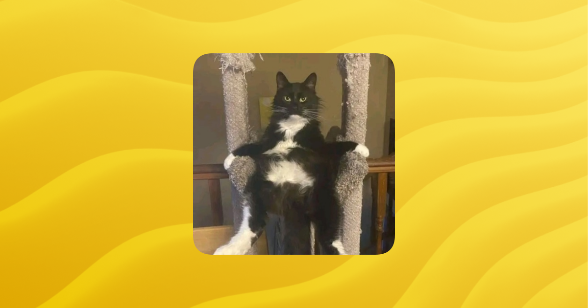 The Hangout Server - Guilded