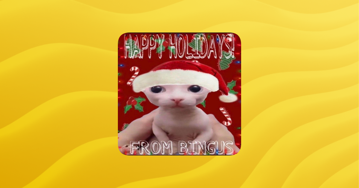 Overview - Bingus Fan Club - Guilded