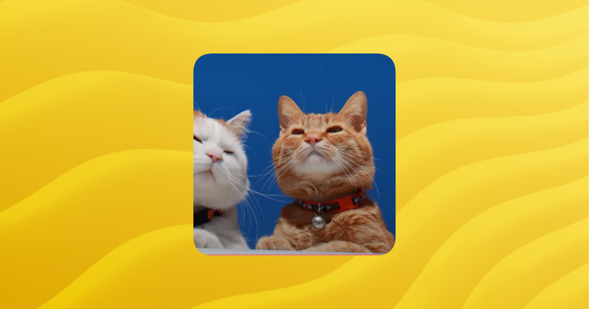 Overview - Based Bank - Guilded