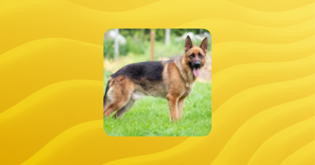 dog peoples - Guilded