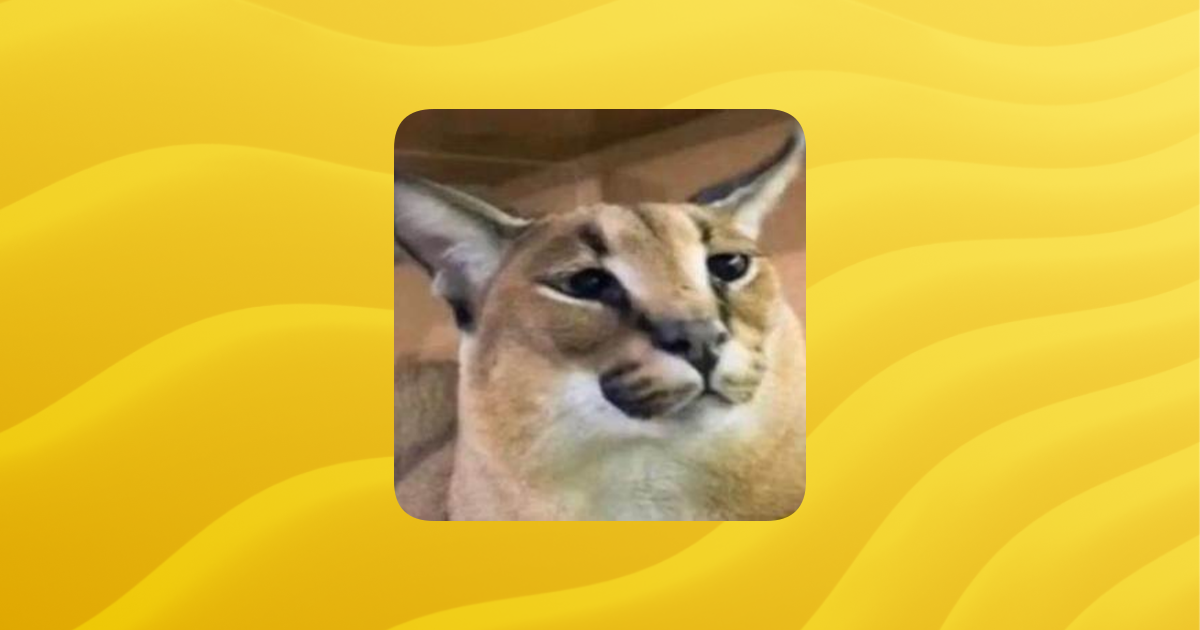 Floppa King Team - Guilded