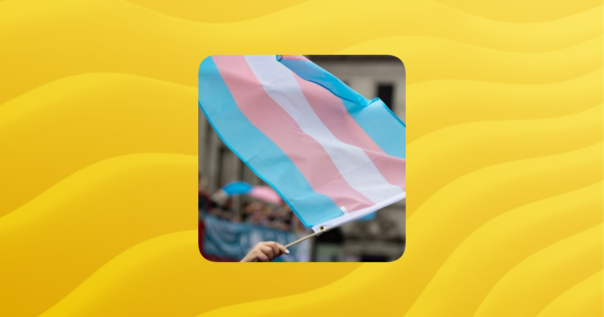 Transgender Pride - Guilded