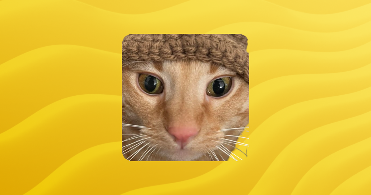 jambojis - Members - Guilded