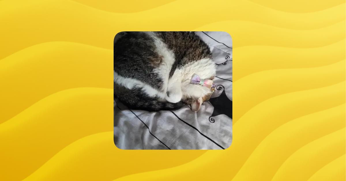 Overview - Moon's Server - Guilded