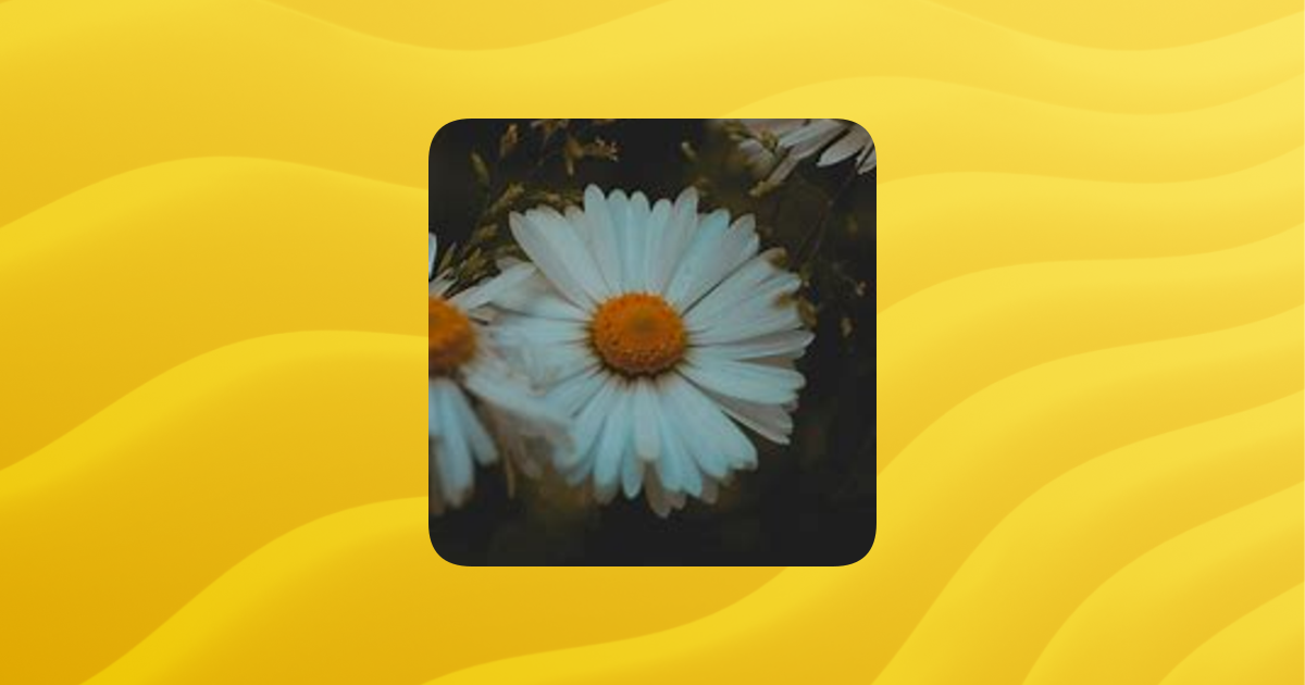 topics and silly stuff :3 - Guilded