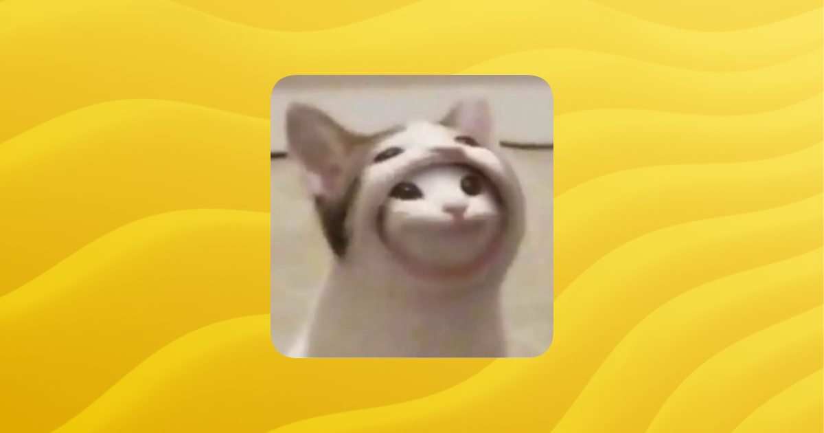 meme cat server - Guilded