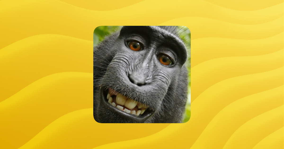 THE OFFCIAL MONKEY CREW - Guilded