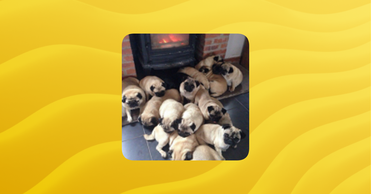 the pugs United - Guilded