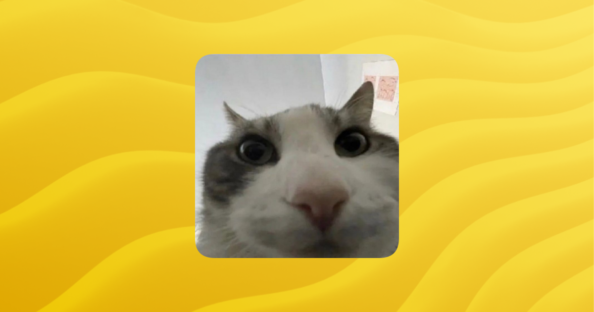 Cats United - Guilded