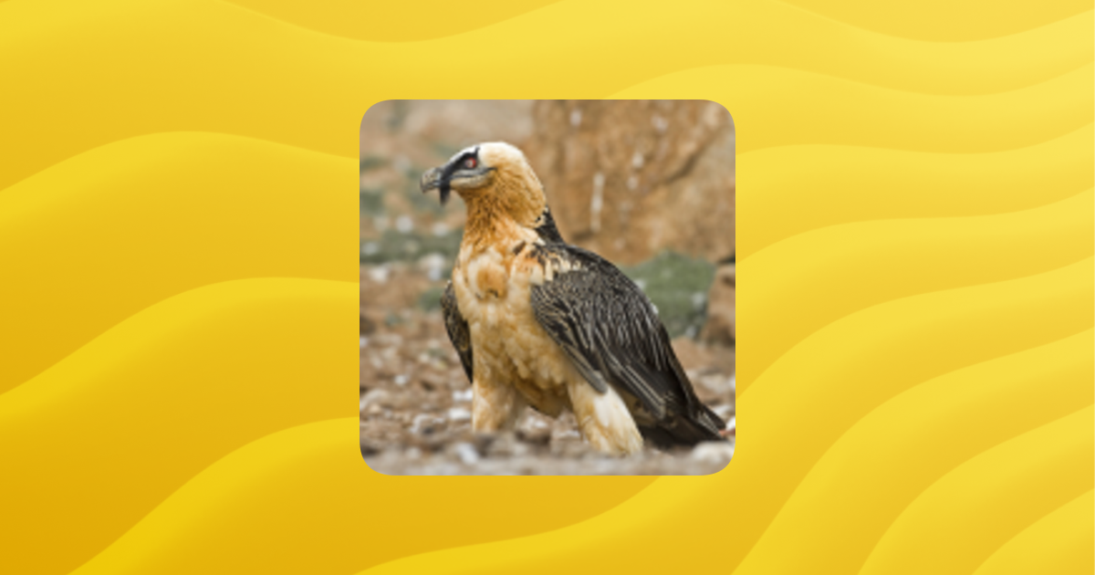 Overview - Nocto & drazempic's UGC - Guilded