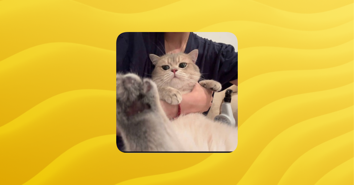 Cute & Chill Hangout w Games - Guilded