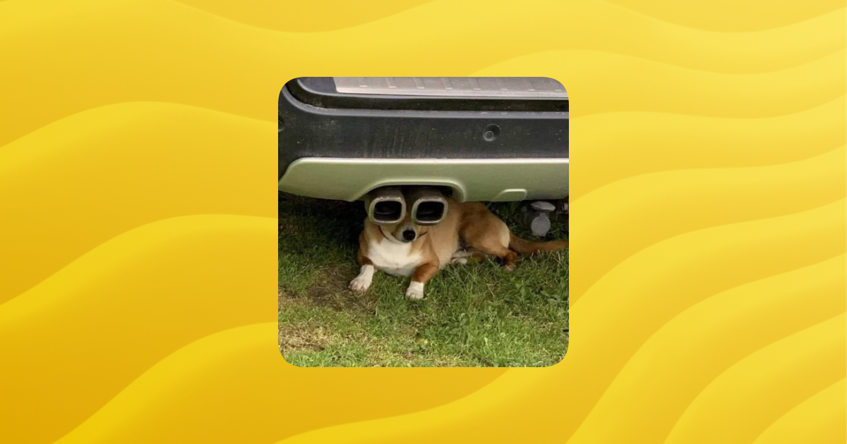 Overview - Menagerie of Bad Memes - Guilded