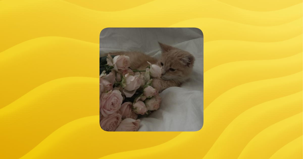 Pix - Members - Guilded