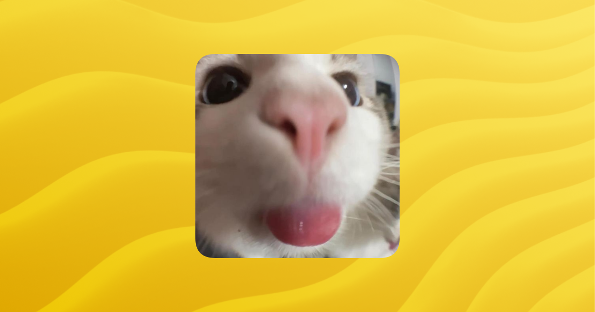 Overview - cats - Guilded